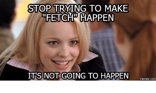 Mean Girls Meme Fetch