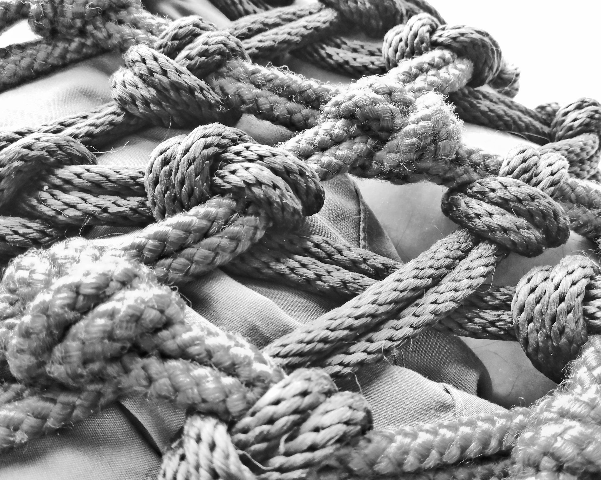 Topp (`~`) Shibari on Twitter: "Morning rope practice, more knots the merrier #shibari #kinbaku ...