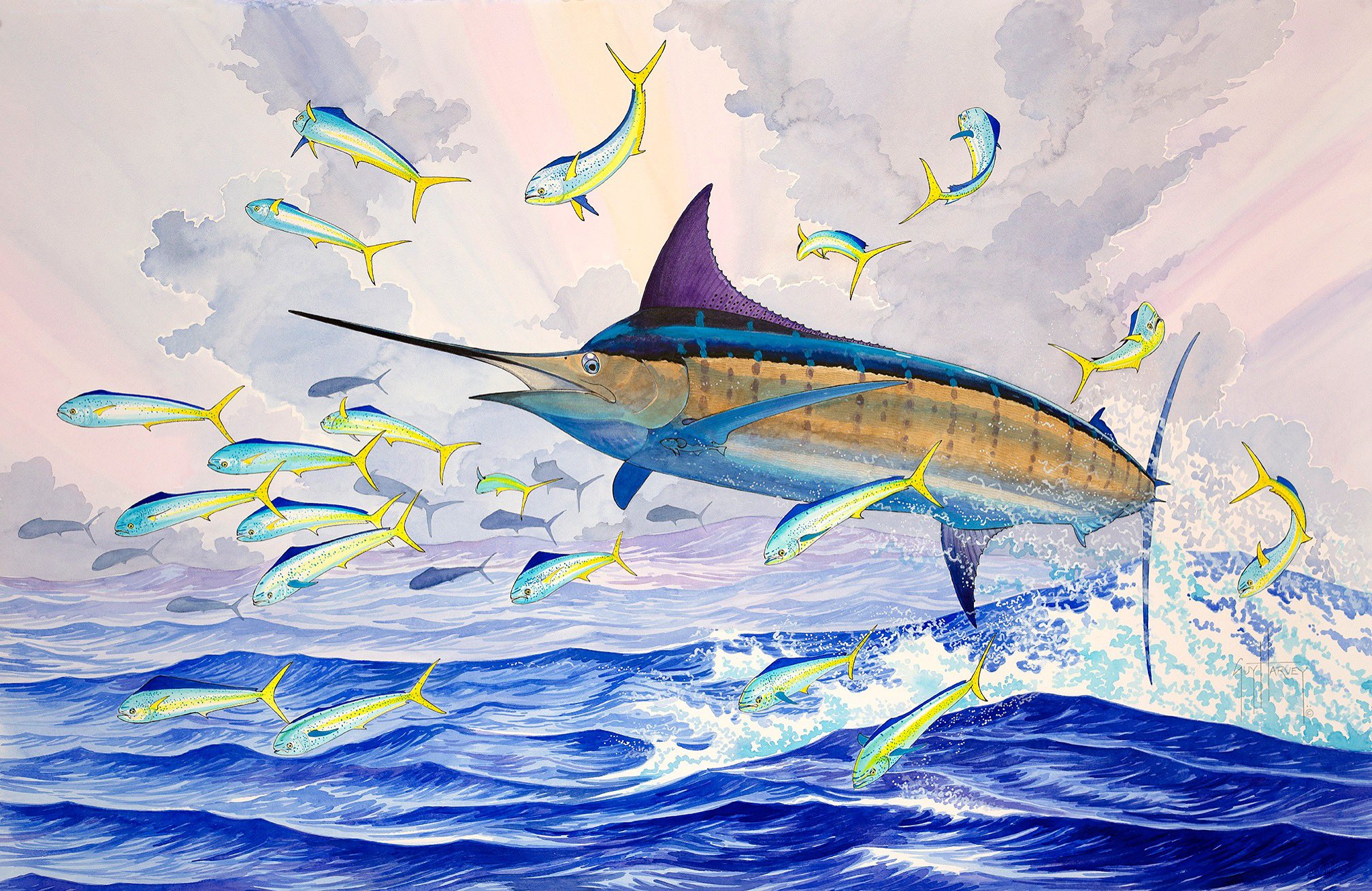 Guy Harvey Wallpaper Desktop