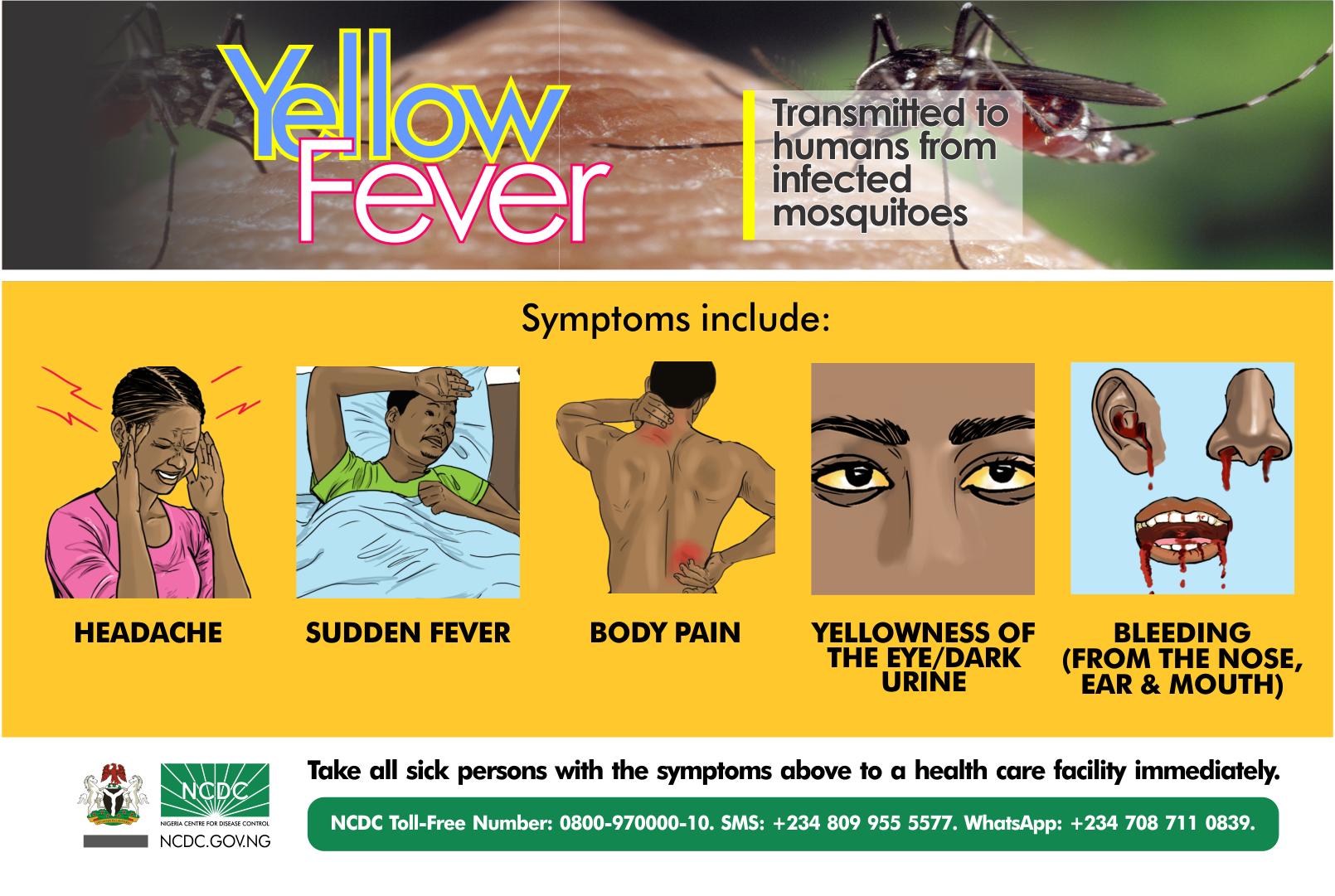 Yellow Fever Symptoms Yellow Fever Vaccine Fractional Dosing – A