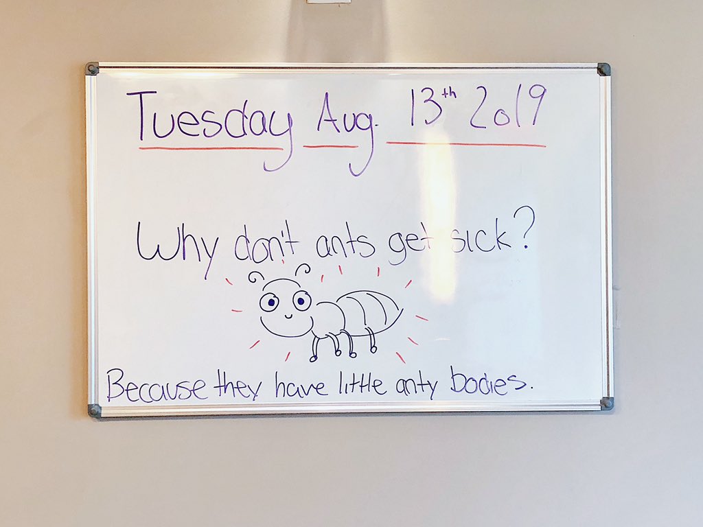 Whiteboard Humor