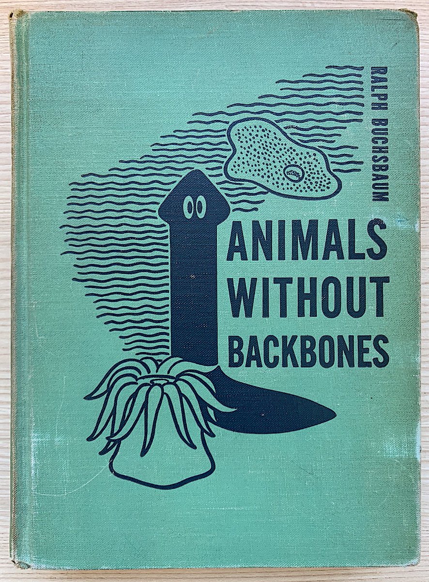Animals Without Backbones