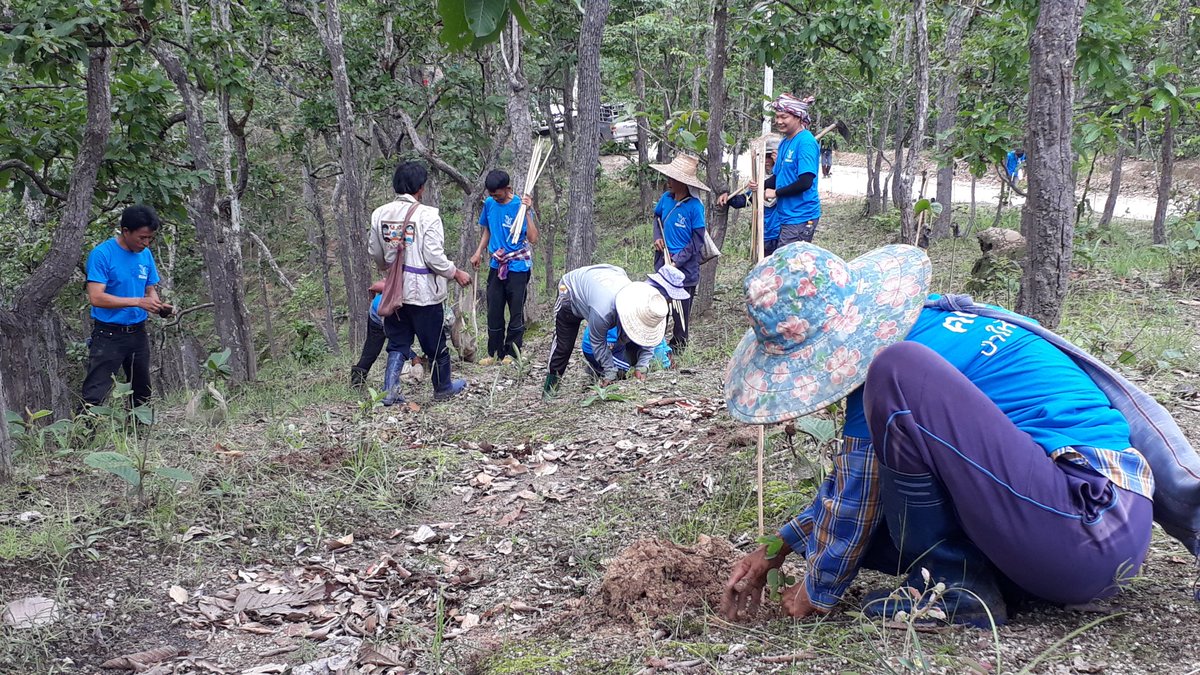 Somkiat Meetham (@SomkiatMeetham) | Twitter