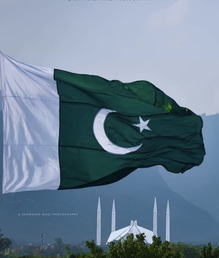 Pti Flag Wallpaper