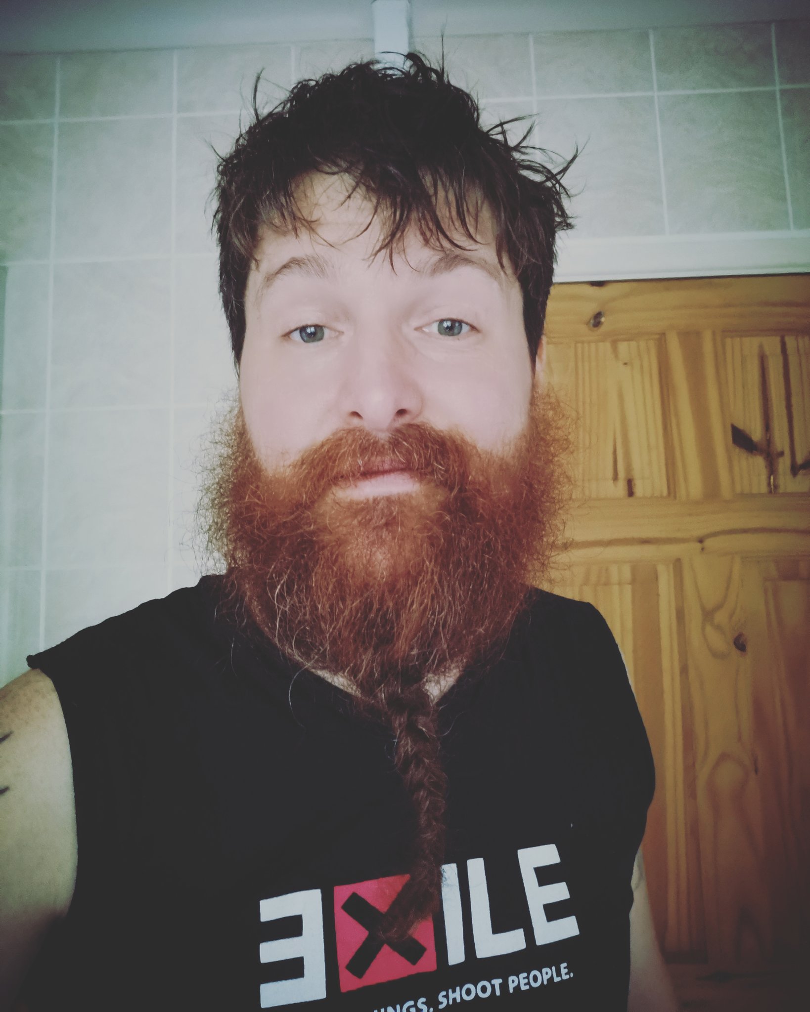 Ragnar Lothbrok Beard
