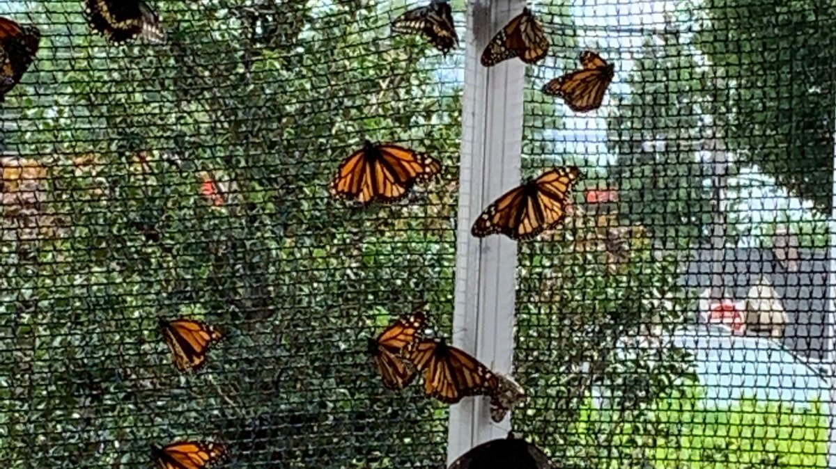 News | Country Meadows Retirement Communities