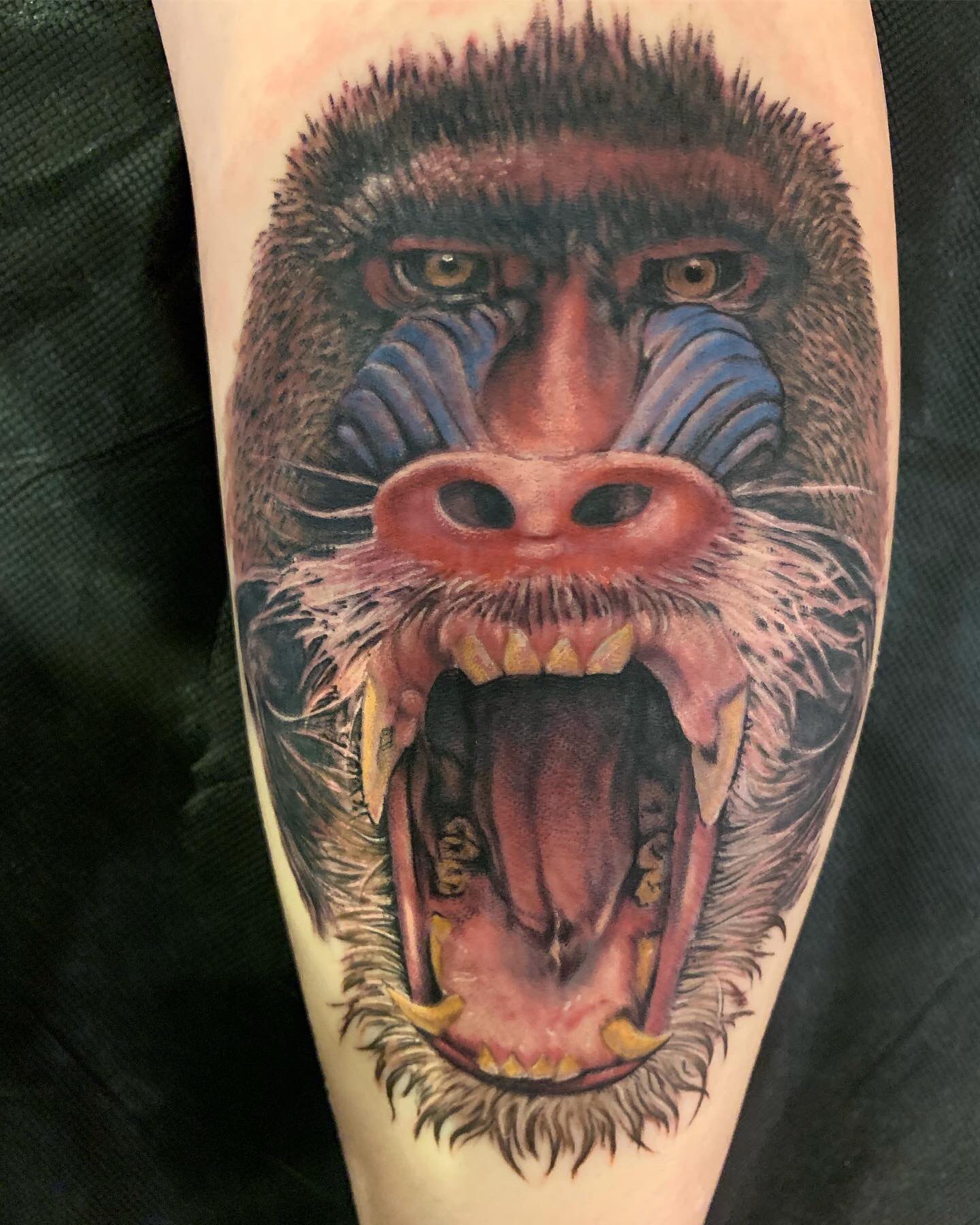 Baboon Tattoos