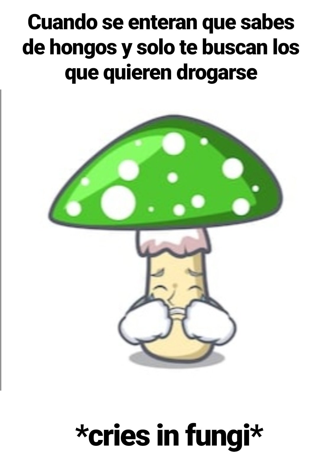 Memes Del Hongo