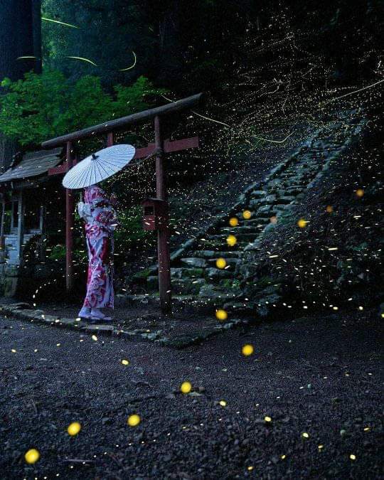 TW Pornstars - Amanda Munger. Twitter. 5:35 PM - 4 Aug 2019