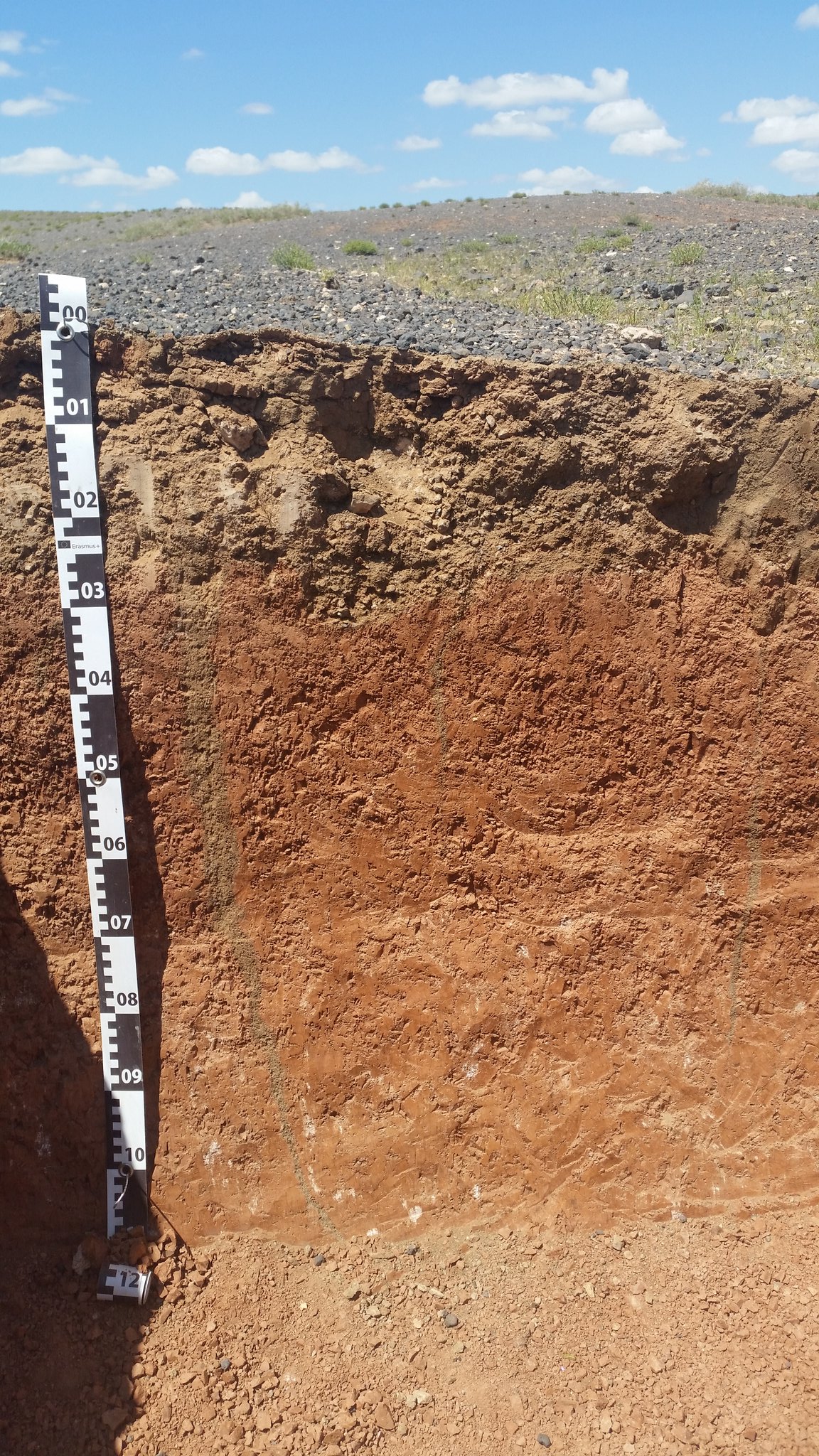 Aeolian Soil