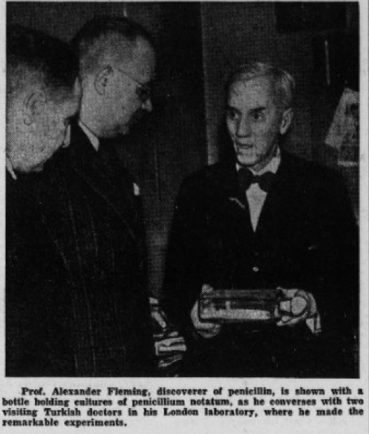 Alexander Fleming Penicillin Experiment