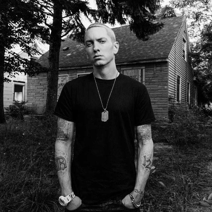 Eminem Mmlp2 House