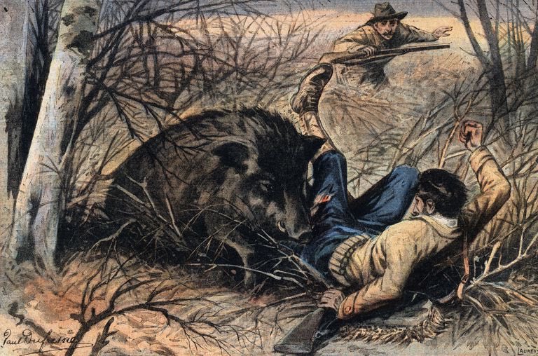 Giant Razorback Animal