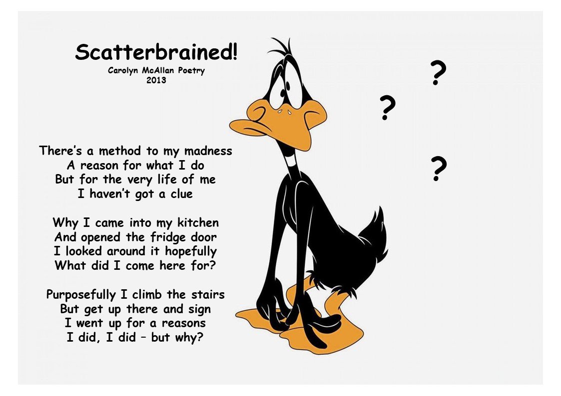 Scatterbrain Memes Stop With The 'Little Miss' Memes Already, For The