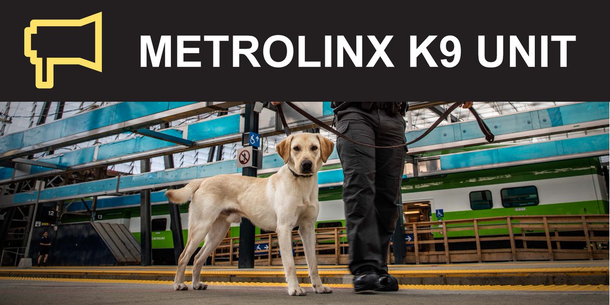 Rob Granatstein (@robedits) | Twitter