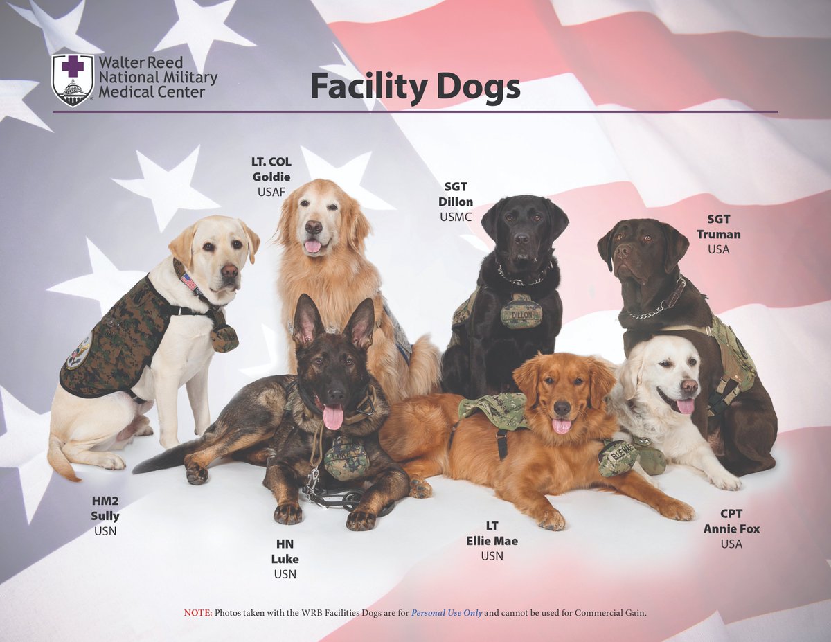 Sully got a lot of love, so I thought you all would like the other ...