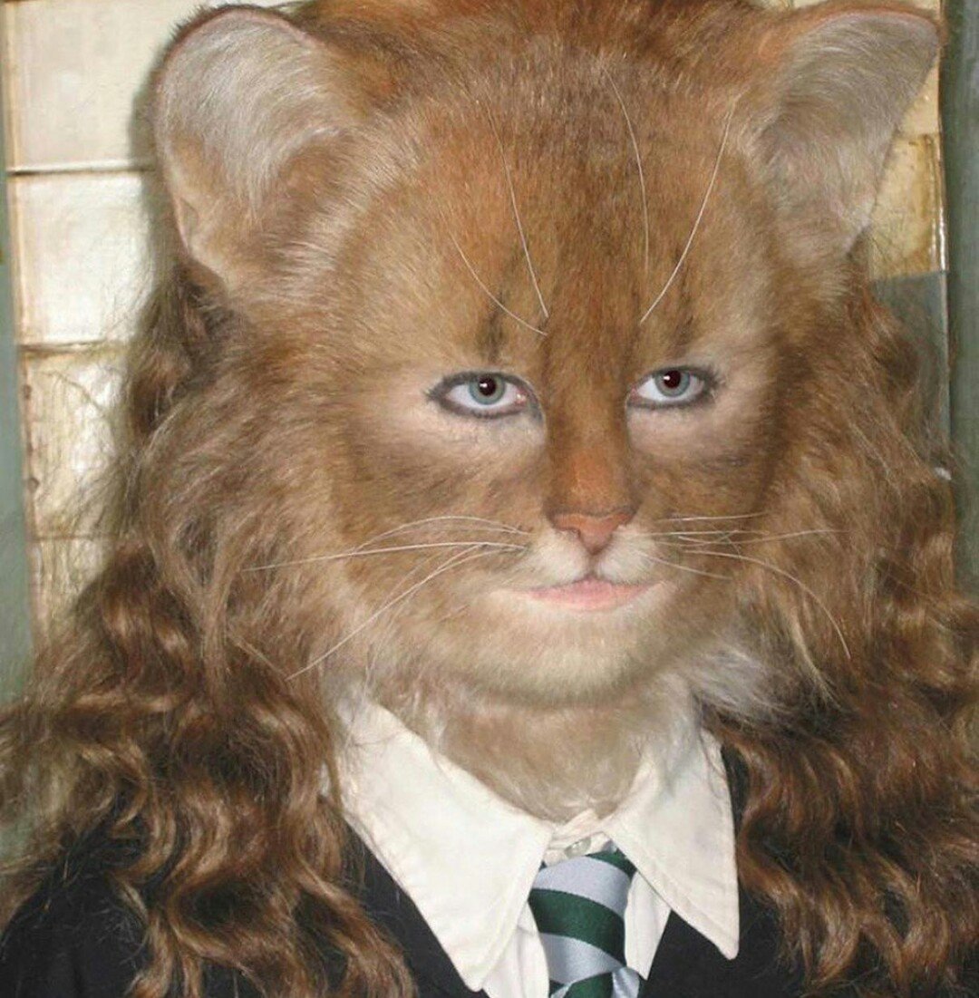 Harry Potter And The Chamber Of Secrets Hermione Cat