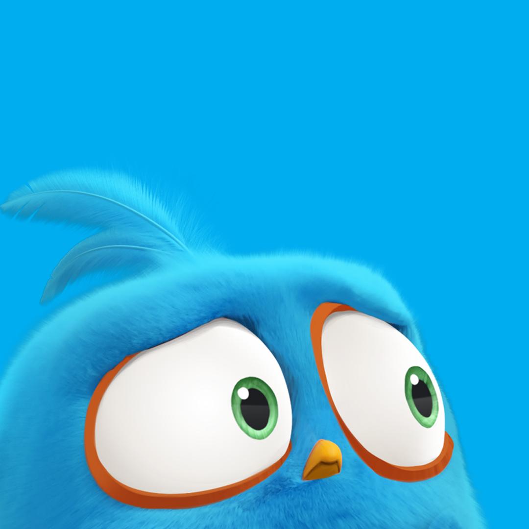 Blue Angry Bird Wallpaper