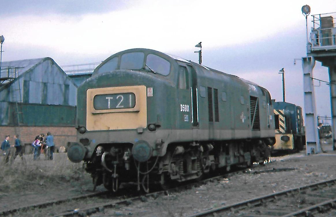 D5901 Baby Deltic Shop Price | www.oceanproperty.co.th