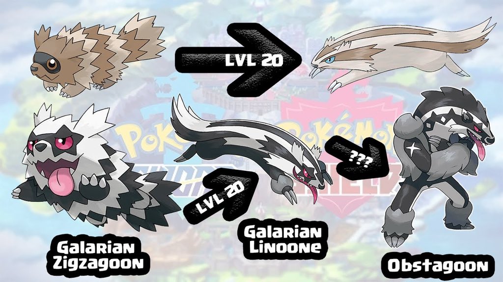 Pokemon Linoone Evolution Chart