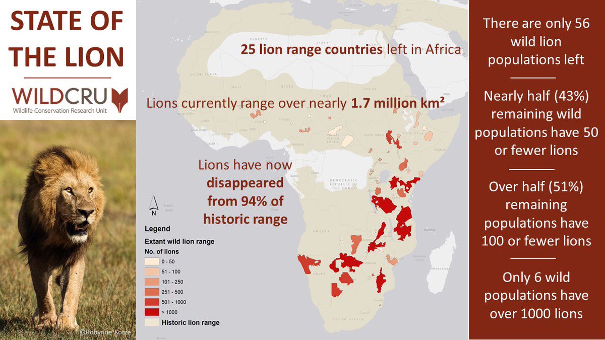 Asiatic Lion Map