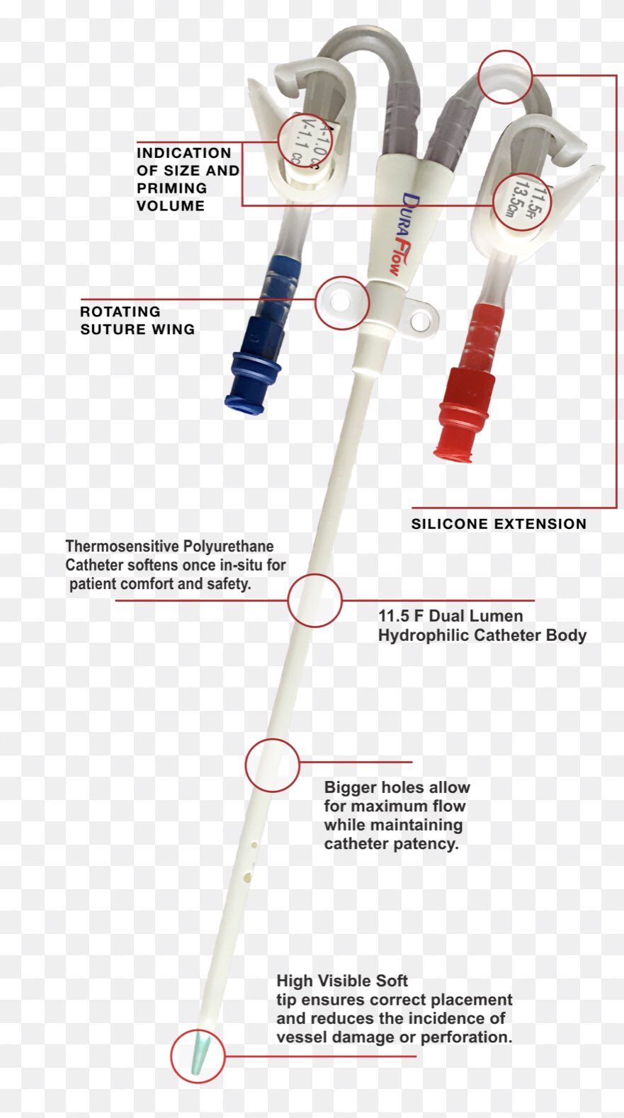 Femoral Dialysis Catheter