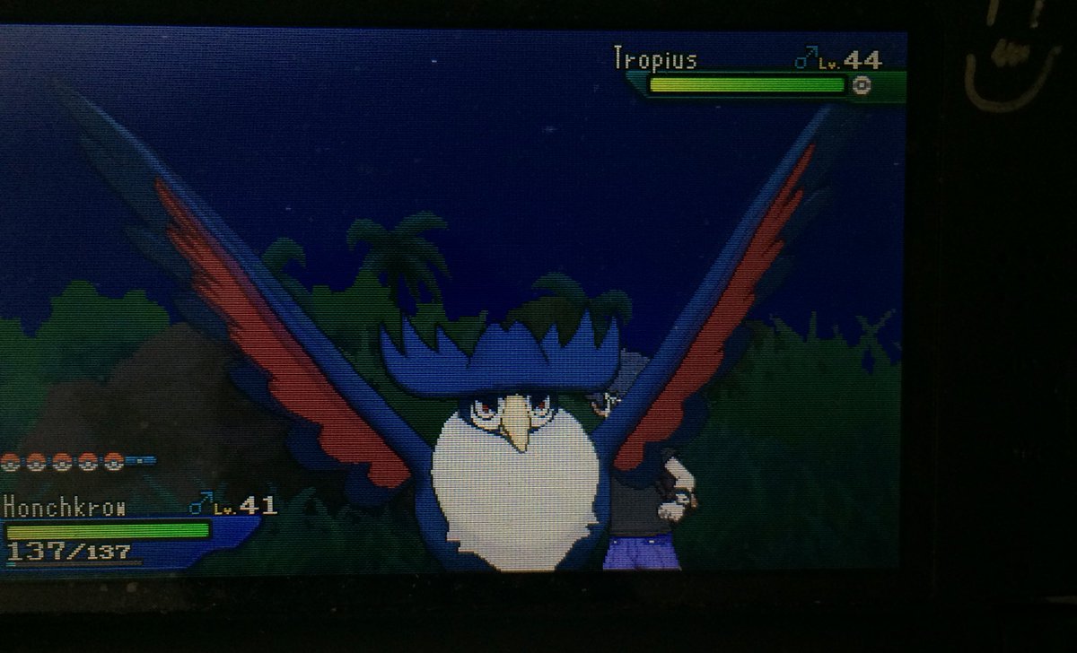 Honchkrow - Pokemon Go