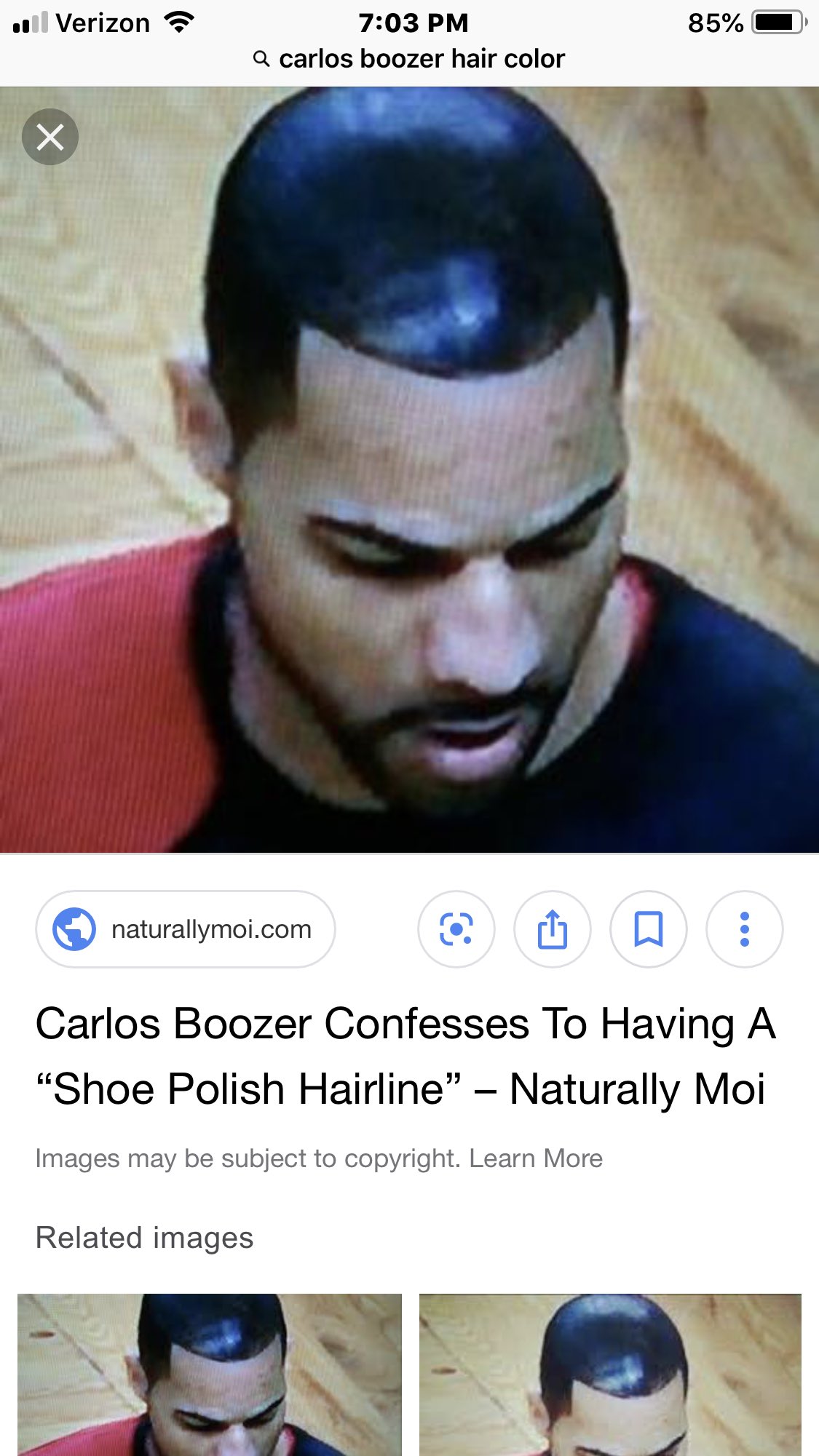 Carlos Boozer Hair