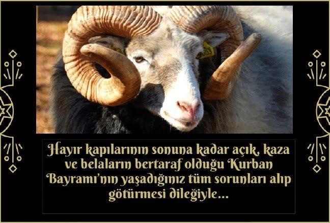 Sevim (@Sevim74170160) | Twitter