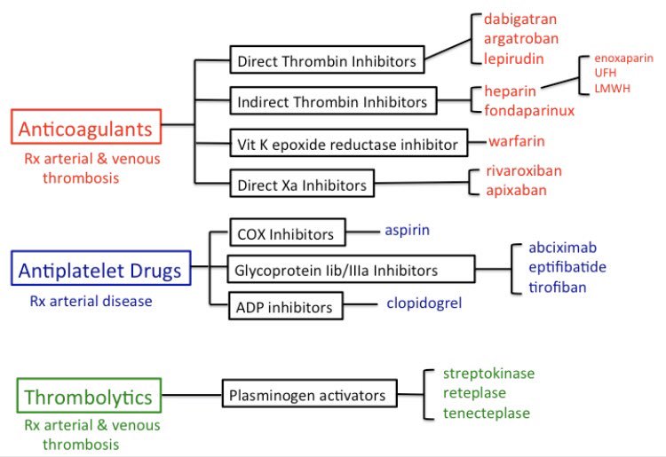 Types Of Clotting Disorders Understanding Clinical Trials | National