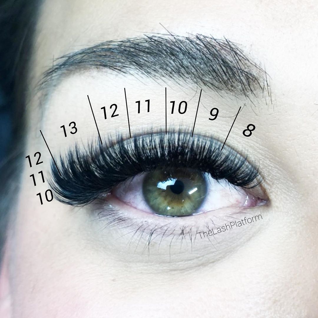 cat eye eyelash extensions map - Phyliss Ayers cat eye eyelash extensions map - Phyliss Ayers