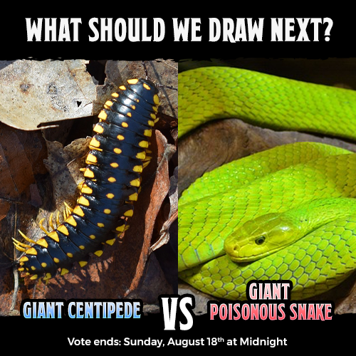 Giant Centipede Vs Snake
