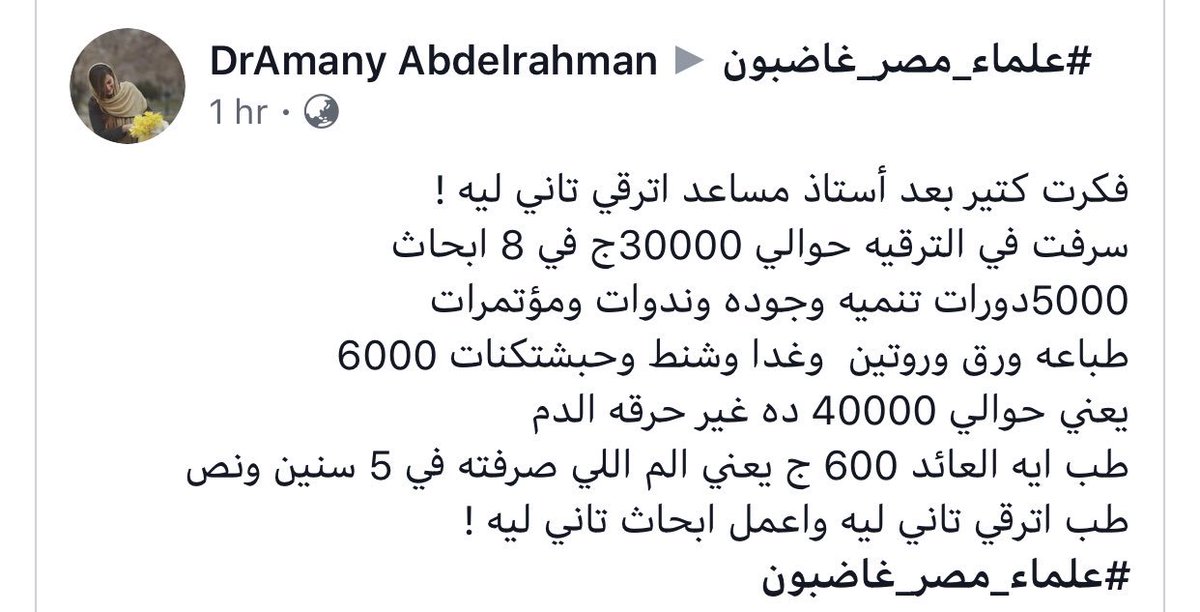 Ali Abou-elanwar (@AliAbouElanwar) | Twitter