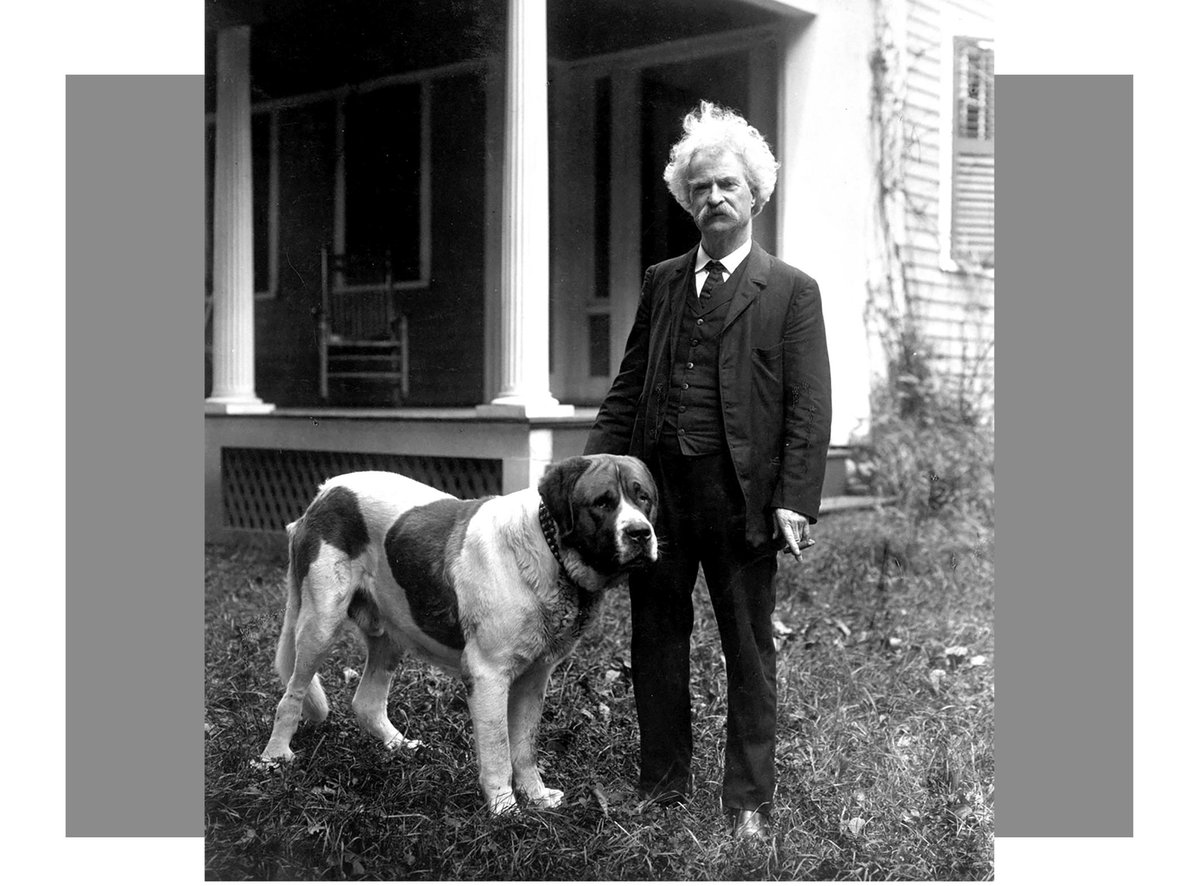 Stationery NEW Mark Twain Dogs Postcard Paper etna.com.pe