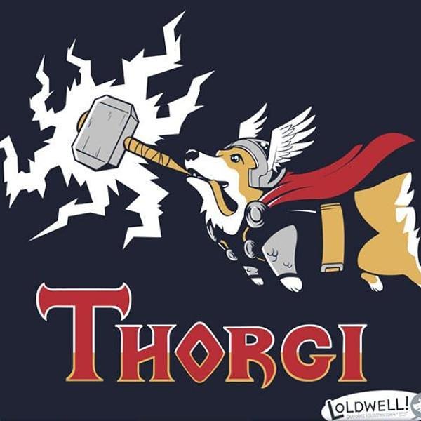 Thorgi