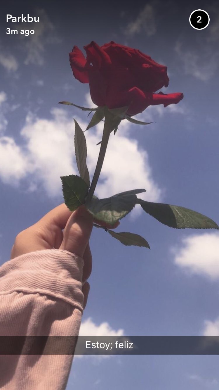 soso on Twitter: "9:7 Feliz…