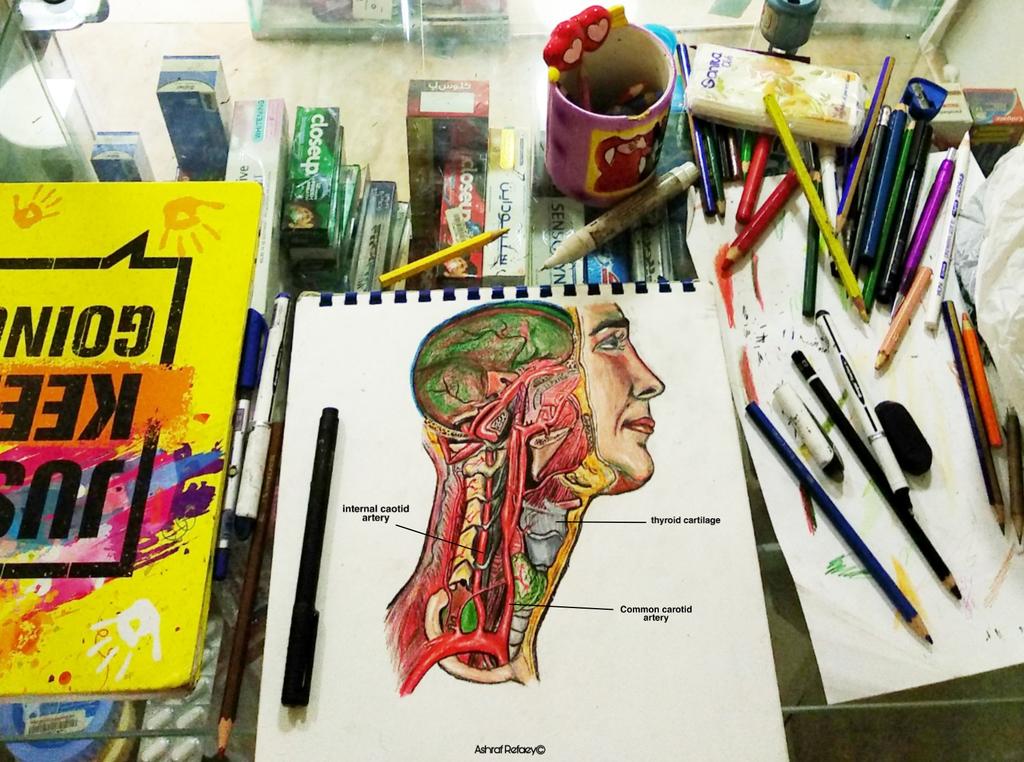 Shiren Alaa Eldeen (@shirenalaadeen) | Twitter