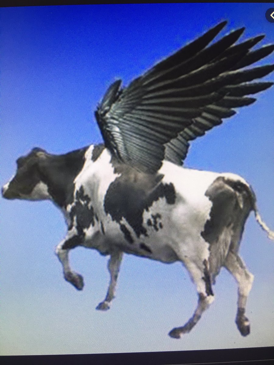 Flying Cow