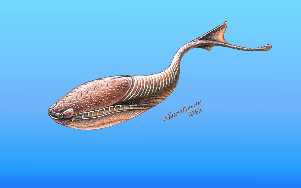 Ordovician Period Animals