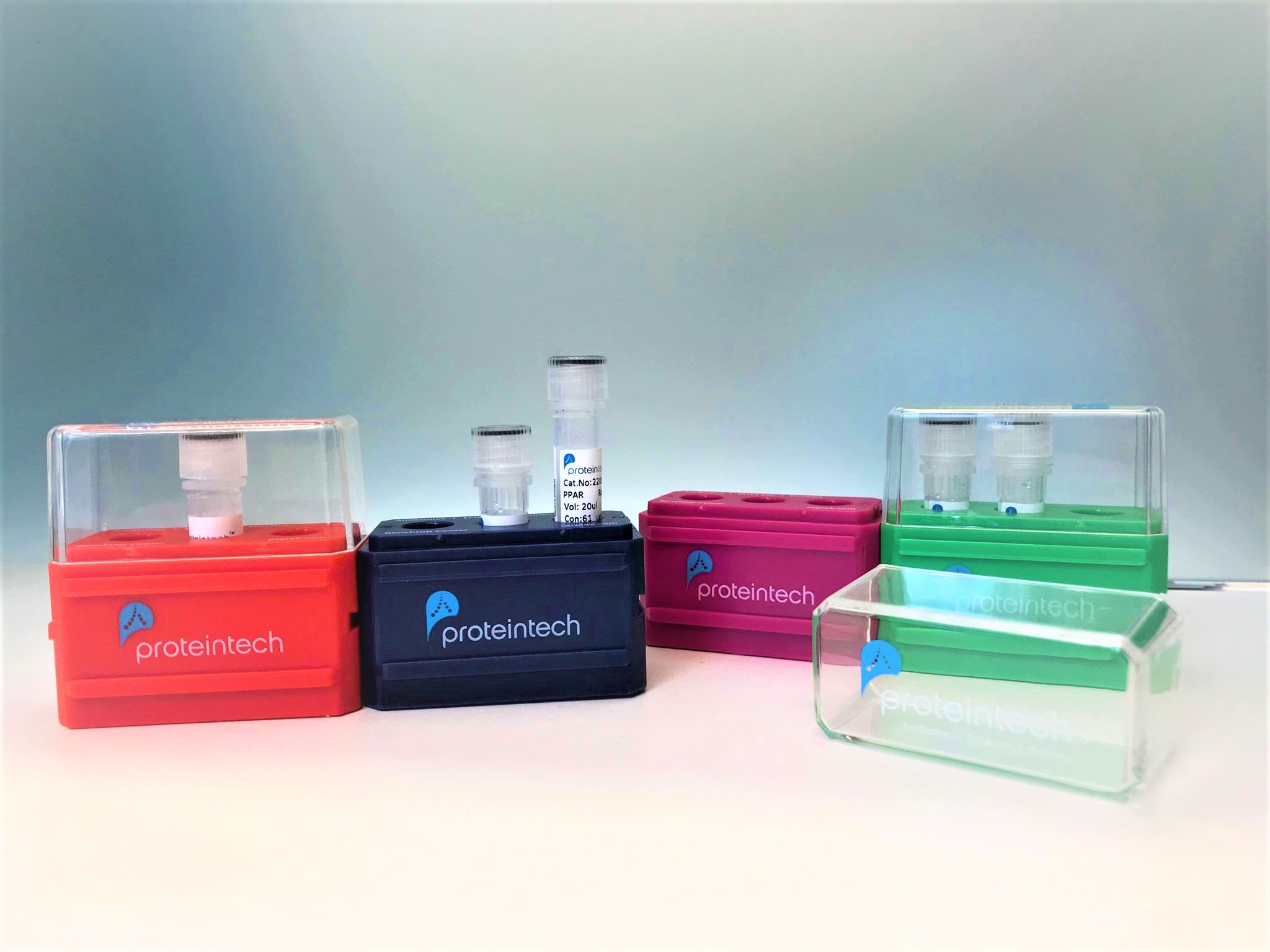 Proteintech Antibodies Trial Size Antibodies | Proteintech Group