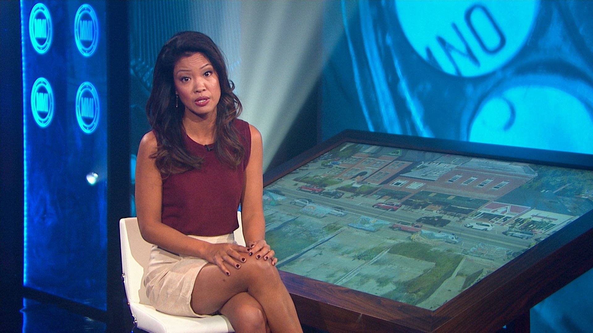 Michelle Malkin Hot Legs