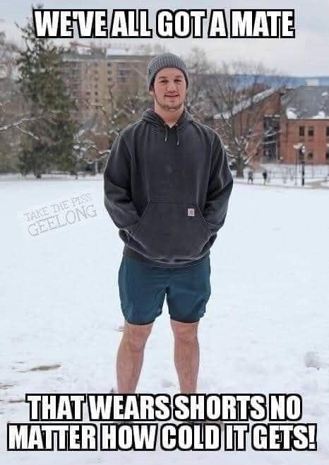 Shorts Winter Meme Shorts In The Snow GIF Shorts In The Snow
