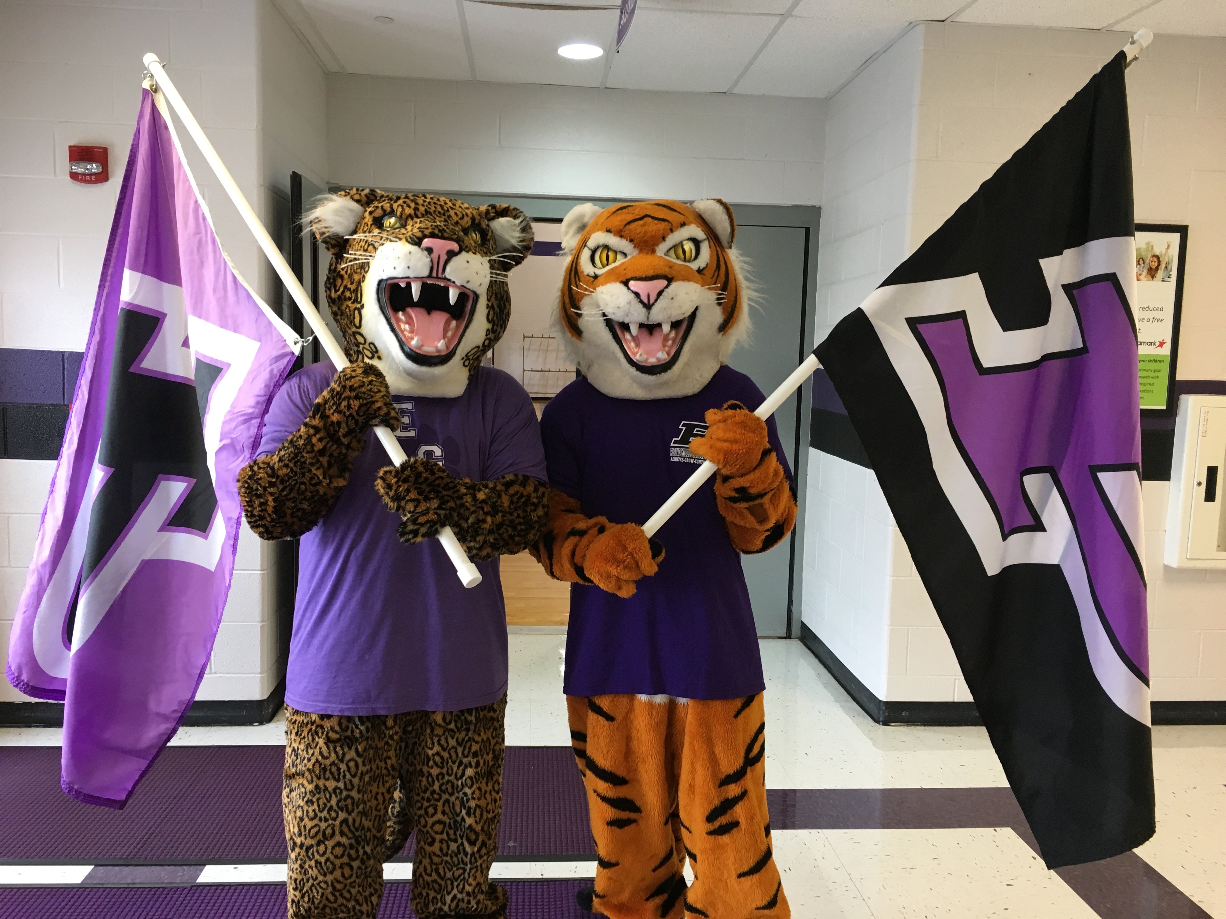 Middle School Mascots