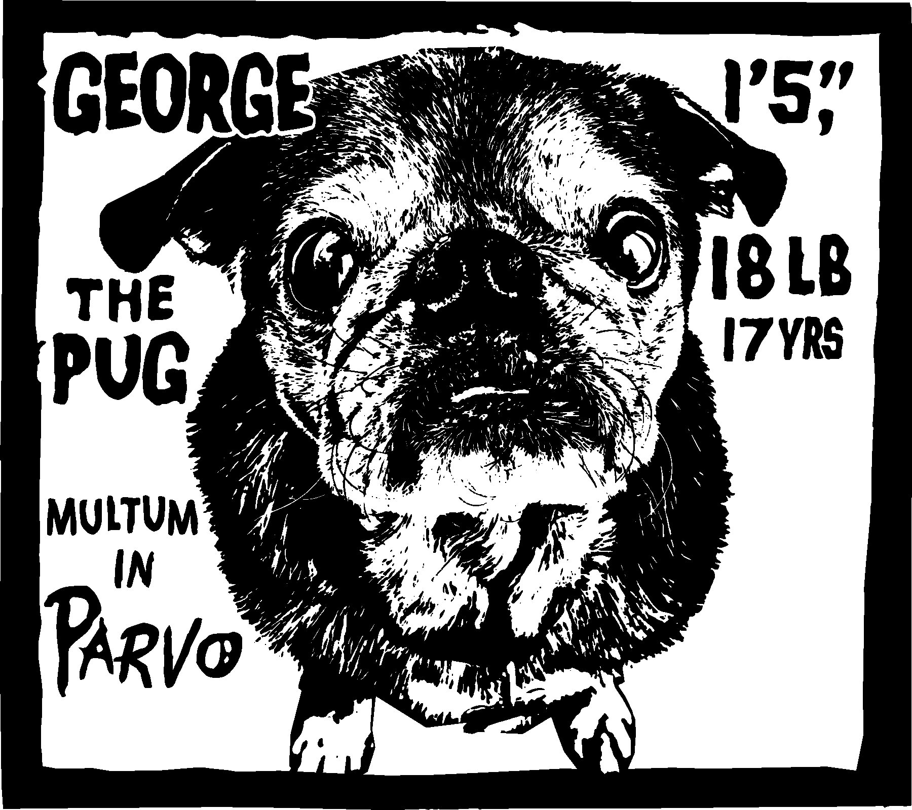 Giant George Meets Smallest Dog