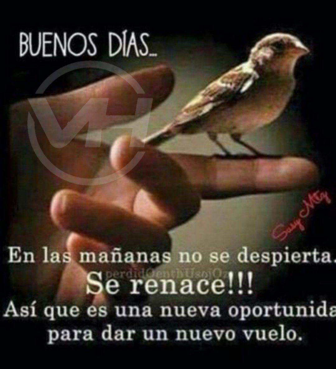 Chistes y refranes (@CRefranes) | Twitter