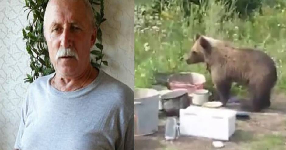 Man Eaten By Bear