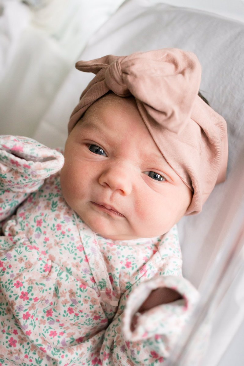 Meghann Miller's Instagram, Twitter & Facebook on IDCrawl