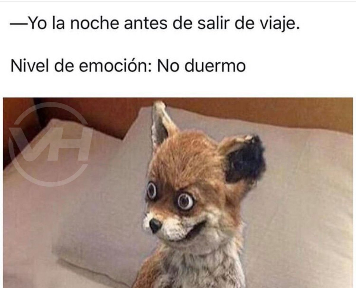 Chistes y refranes (@CRefranes) | Twitter