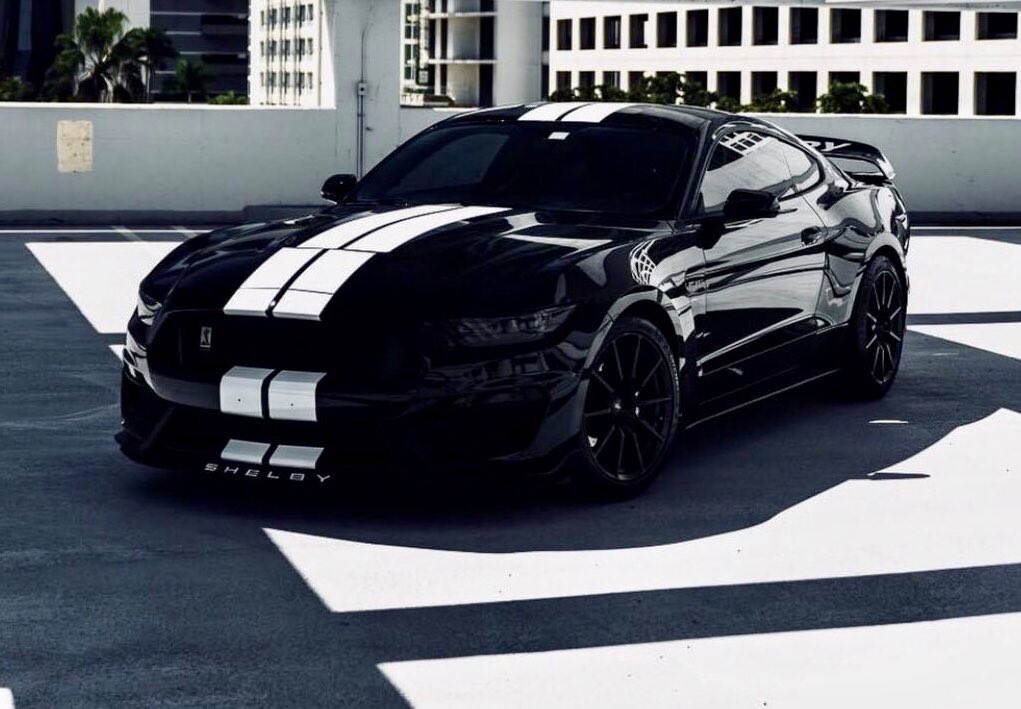 Blacked Out 05 Mustang