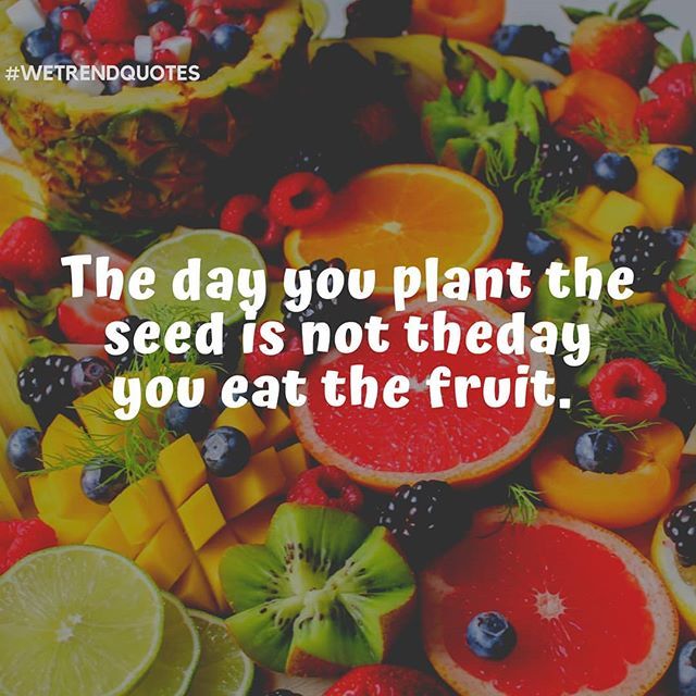 Fruits Day Quotes World Food Day Quotes Vectors Download Free